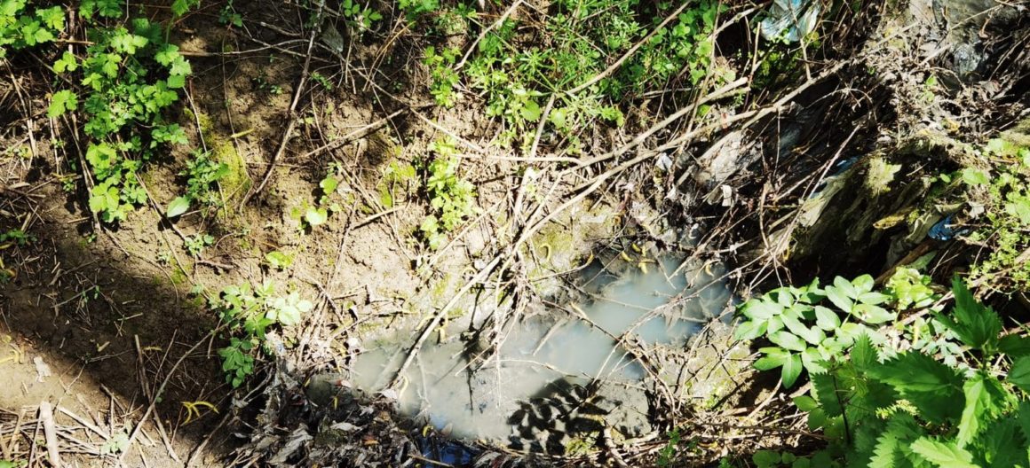 Radiografia poluării râurilor din România - Litera 9