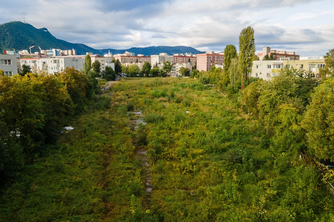 Primarul George Scripcaru îi acuză pe fostul primar și fostul arhitect ...
